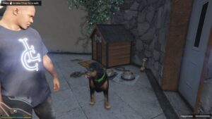 How to Get Chop to Follow You In GTA 5? - 🌇 GTA-XTREME