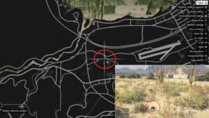 All 27 Peyote Plant Locations In GTA 5 (Map & Guide) - 🌇 GTA-XTREME