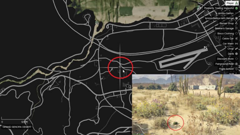 All 27 Peyote Plant Locations In GTA 5 (Map & Guide) - 🌇 GTA-XTREME