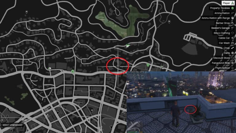 All 27 Peyote Plant Locations In GTA 5 (Map & Guide) - 🌇 GTA-XTREME