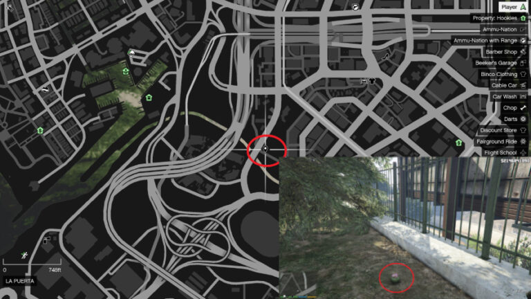 All 27 Peyote Plant Locations In GTA 5 (Map & Guide) - 🌇 GTA-XTREME