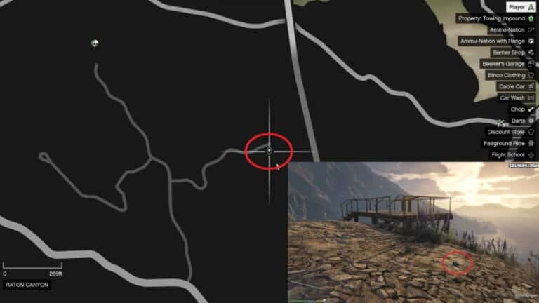 All 27 Peyote Plant Locations In GTA 5 (Map & Guide) - 🌇 GTA-XTREME